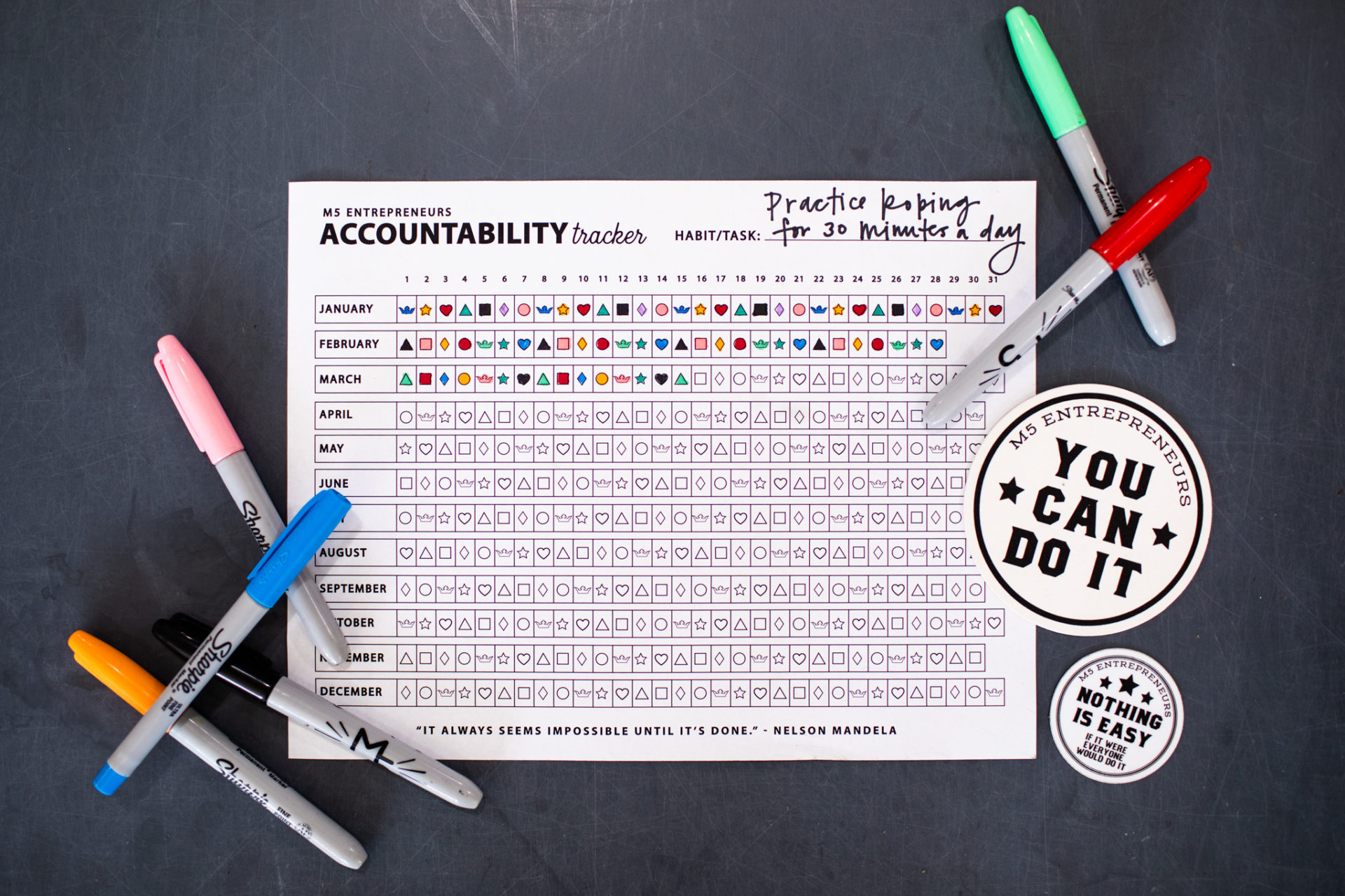 Accountability Tracker | Daily Life at Five Marys!